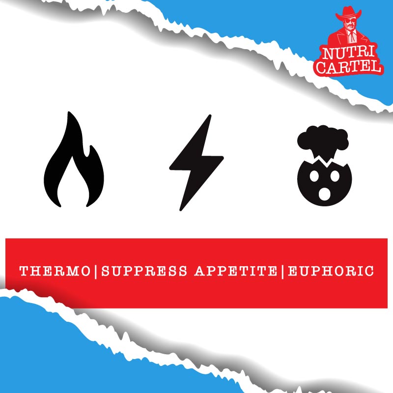 Burn Stack Fat Burner | Fitness Stack – NutriCartel